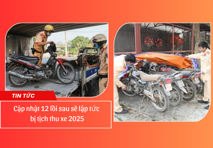 12 lỗi vi phạm giao thông nghiêm trọng sẽ bị tịch thu xe trong năm 2025 - Trung Tâm Dạy Lái Xe ...